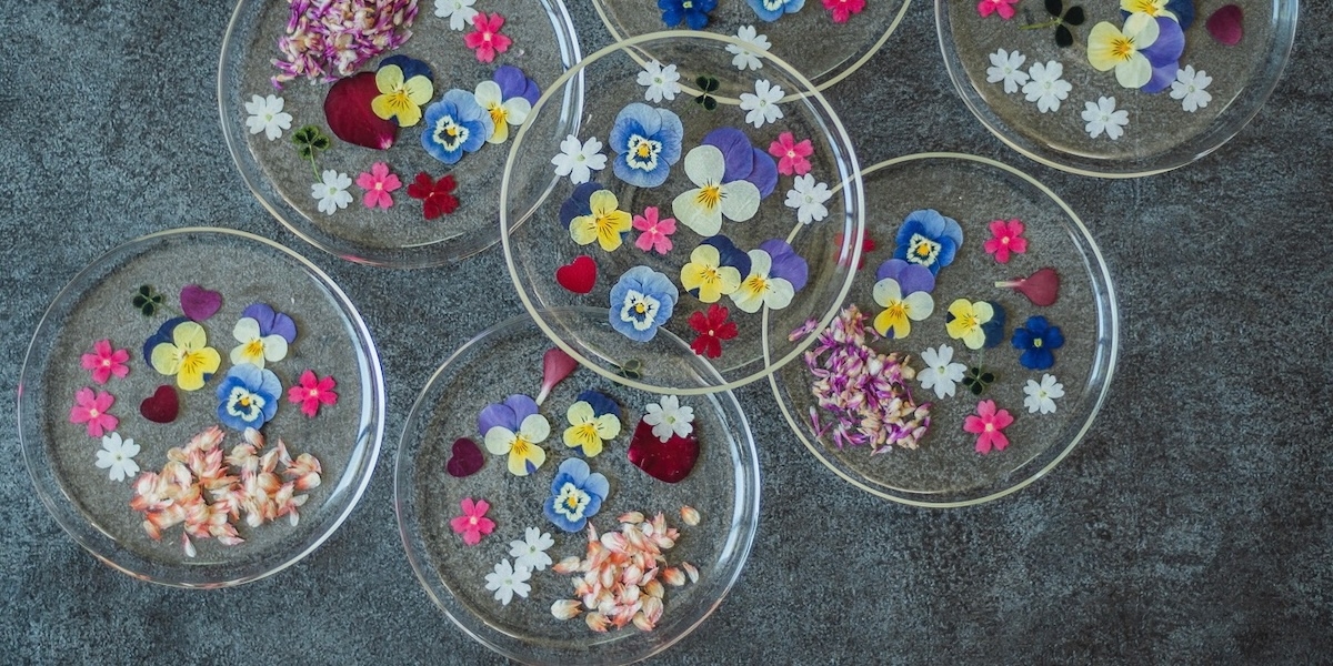 【EDIBLE GARDEN】｜Drink Planet